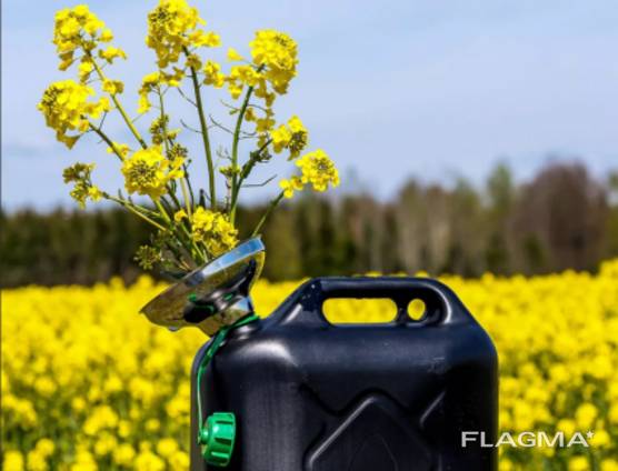 Продам биодизель — Купити в Полтаві на Flagma.ua #2009515