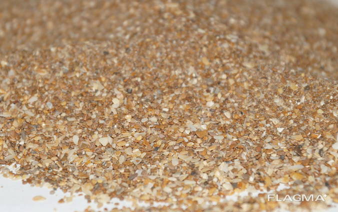 Ракушка кормовая морская — Купить в Донецке на Flagma.ua #12331175